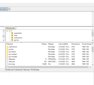 How to Add an Admin User in WordPress Using Functions PHP File?