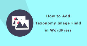 How to Add Taxonomy Images in Wordpress? - YourBlogCoach